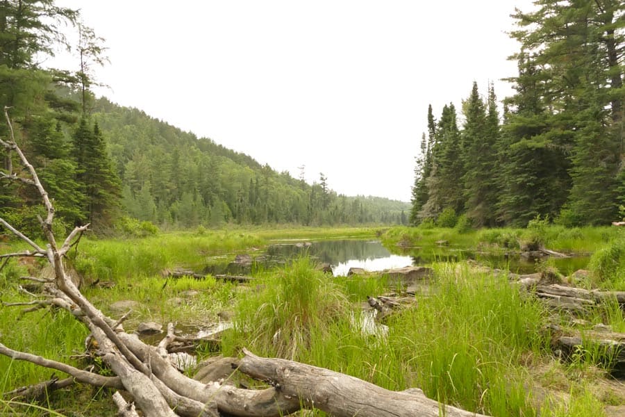 Camping In The Boundary Waters Canoe Area