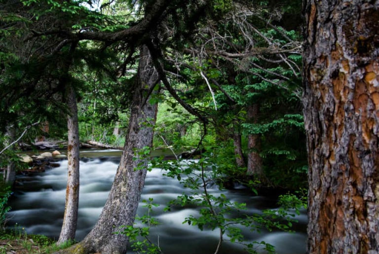 30 of the Best Places to Go Camping in Colorado