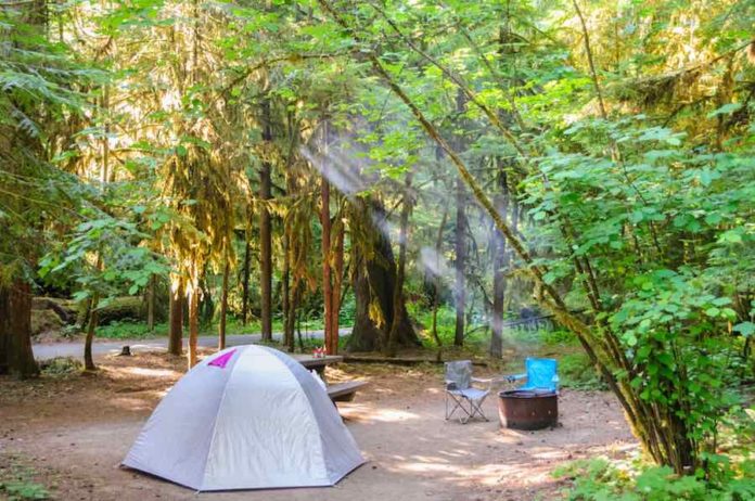 40+ of the Best Places to Go Camping in Washington State