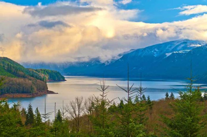 40+ of the Best Places to Go Camping in Washington State