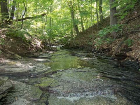 The 40 Best Places To Go Camping In Ohio - Beyond The Tent