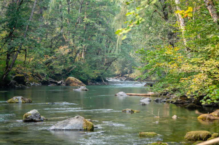 The Best Camping in Olympic National Park