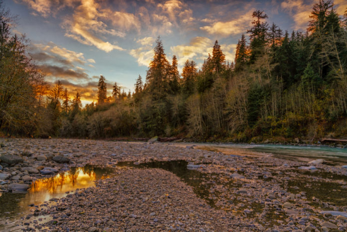 The Best Camping in Olympic National Park