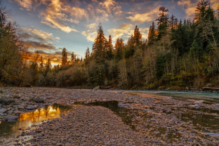 The Best Camping in Olympic National Park