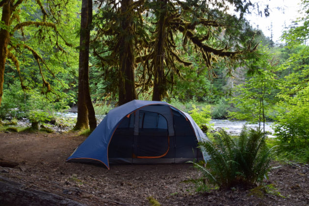 The Best Camping in Olympic National Park