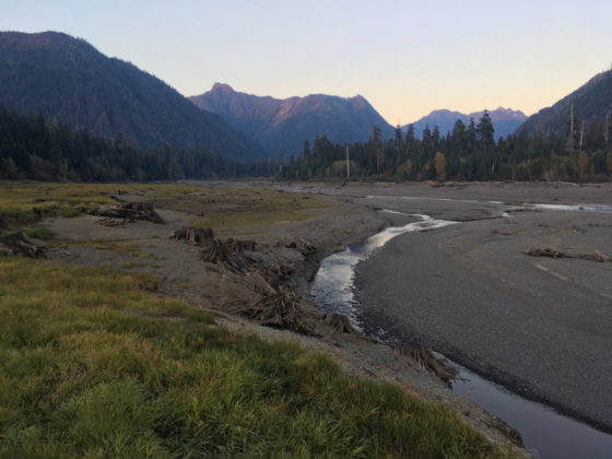 The Best Camping in Olympic National Park