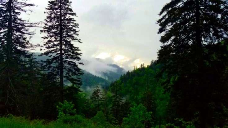 The Complete Guide to Camping in Great Smoky Mountains National Park ...