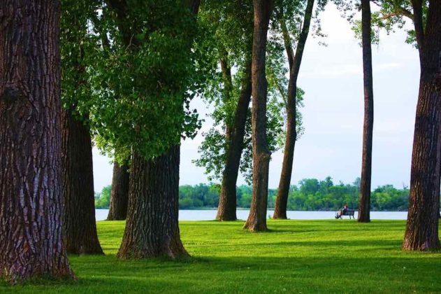 23 of the Best Places To Go Camping In Iowa - Beyond The Tent