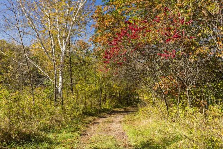 The 15 Best Trails To Go Hiking In Minnesota - Beyond The Tent