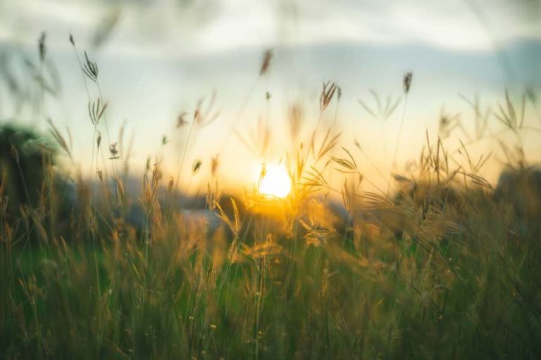 The 15 Best Trails To Go Hiking In Minnesota - Beyond The Tent