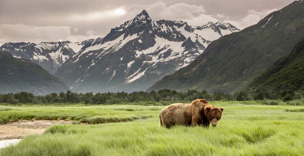 20 Best Places To Visit In Alaska - Beyond The Tent