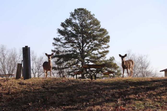 37 Best Places To Go Camping in Missouri - Beyond The Tent