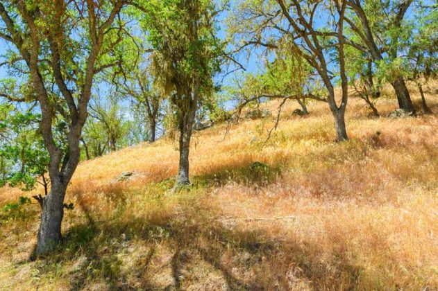 The Best Camping in Pinnacles National Park - Beyond The Tent