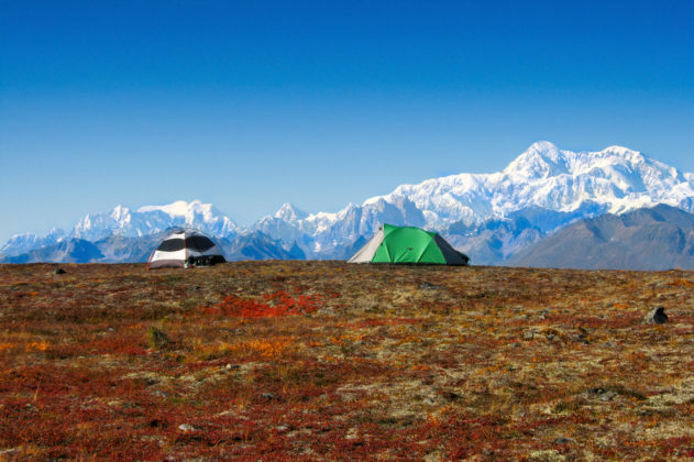 30+ of the Best Places to Go Camping in Alaska - Beyond The Tent