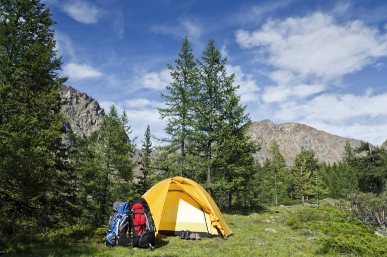 How to Store Food While Camping - Beyond The Tent