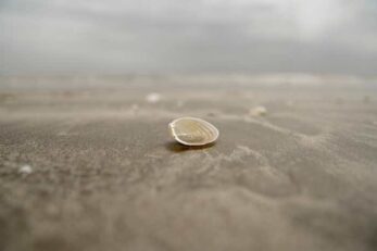 21 Places For Amazing Texas Beach Camping - Beyond The Tent