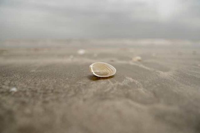 21 Places For Amazing Texas Beach Camping - Beyond The Tent