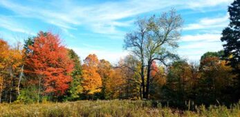 19 Spots You Can Go Free Camping in New York - Beyond The Tent