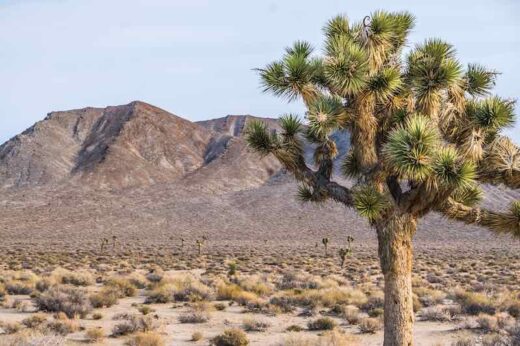 The Complete Guide To Death Valley National Park Camping - Beyond The Tent