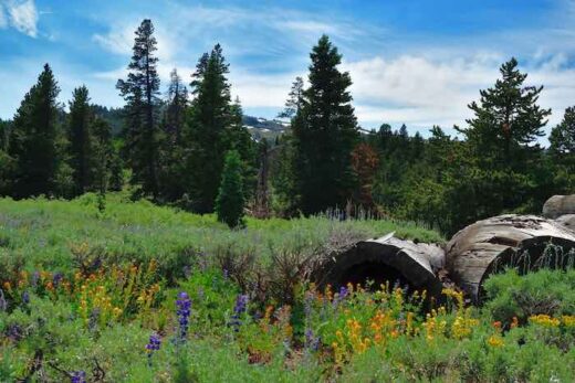 21 Amazing Destinations for Free Camping In California - Beyond The Tent