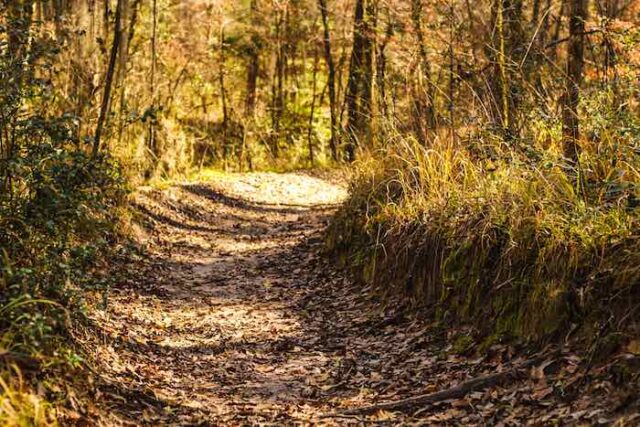 The Ultimate List of Hiking Trails in Texas for Adventure Junkies ...