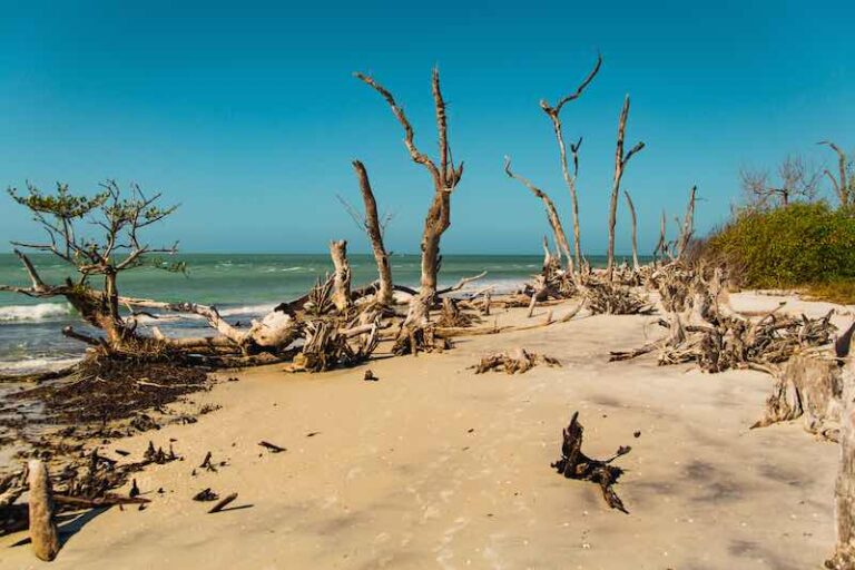 20 Incredible Destinations for Primitive Camping in Florida - Beyond ...