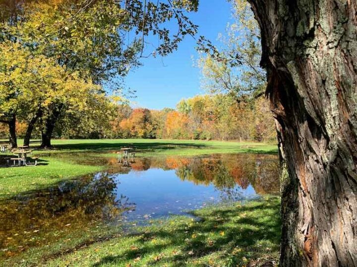 14 Beautiful Places for Winter Camping In Illinois - Beyond The Tent