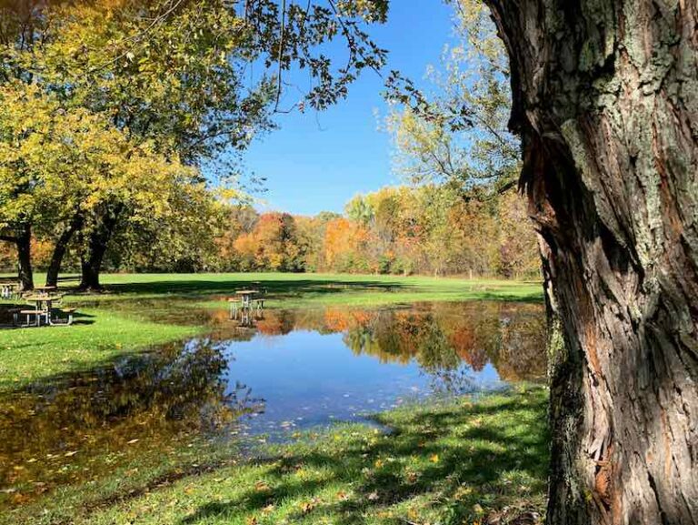 14 Beautiful Places for Winter Camping In Illinois - Beyond The Tent