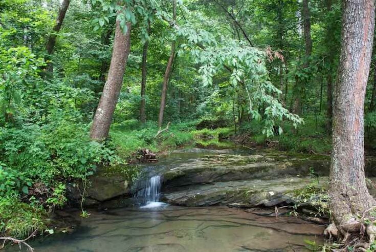 5 Stunning Swimming Holes and Natural Springs in Illinois - Beyond The Tent