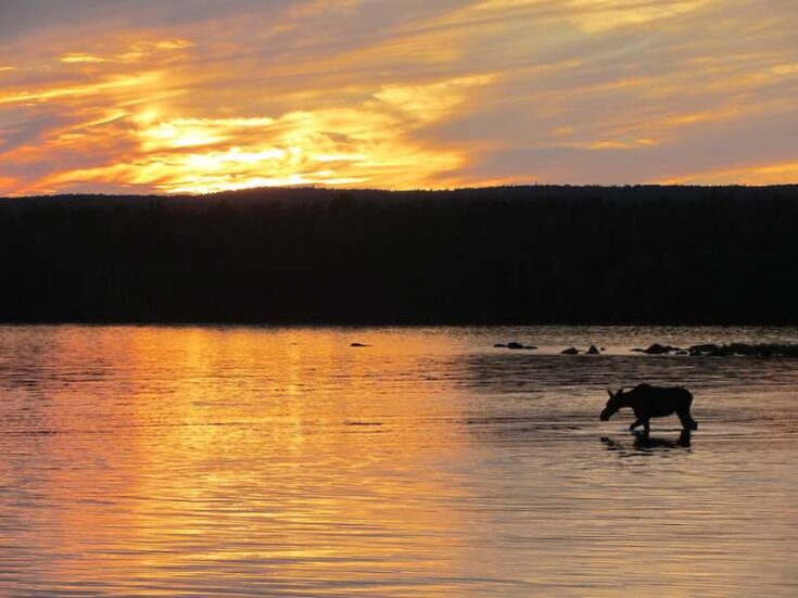 The Ultimate Isle Royale National Park Camping Guide - Beyond The Tent