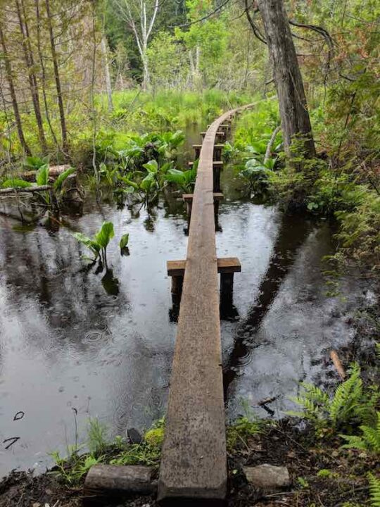 The Ultimate Isle Royale National Park Camping Guide - Beyond The Tent