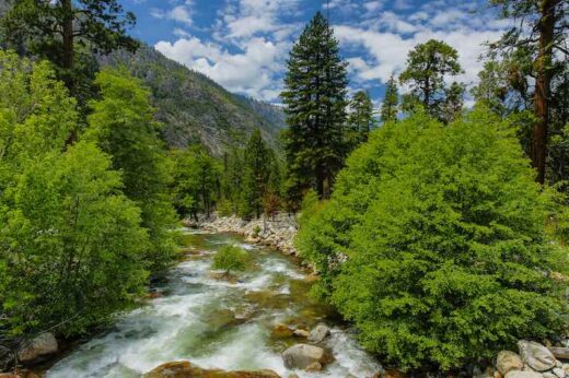 The Ultimate Kings Canyon National Park Camping Guide - Beyond The Tent