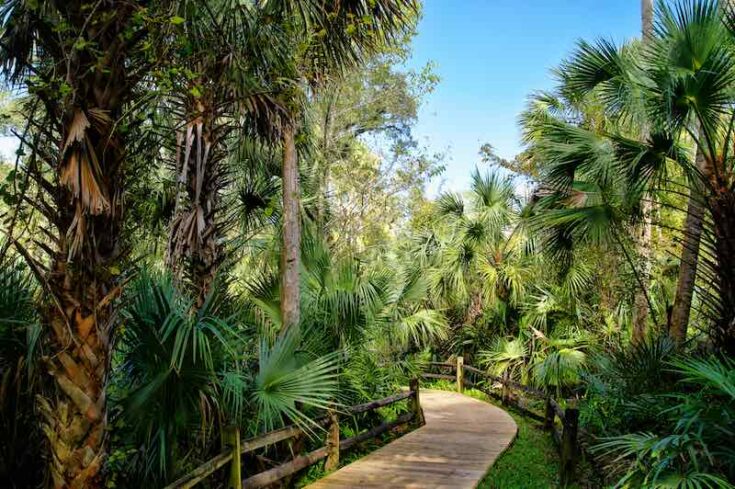 19 Best Places to Go Boondocking In Florida - Beyond The Tent