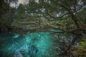 19 Best Places to Go Boondocking In Florida - Beyond The Tent