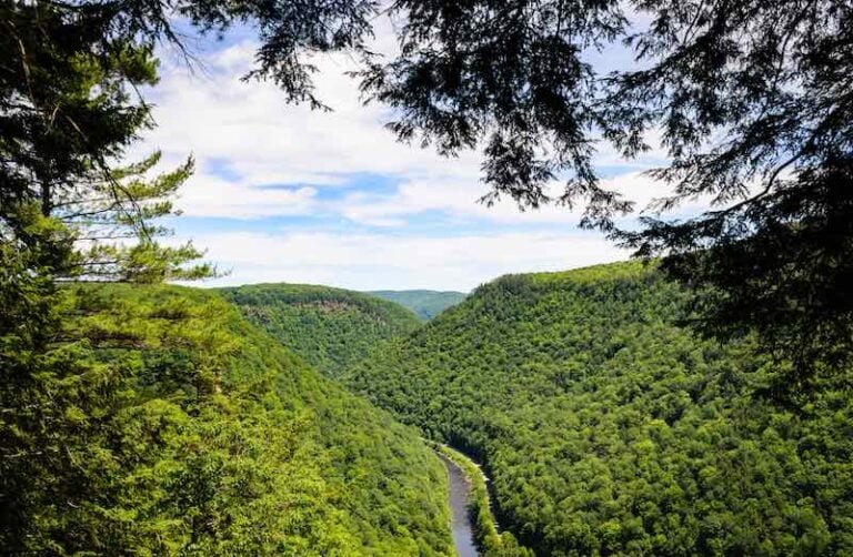 23 Best Spots for Free Camping in Pennsylvania - Beyond The Tent
