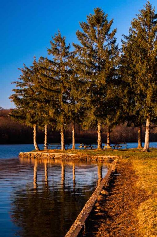 23 Best Spots for Free Camping in Pennsylvania - Beyond The Tent