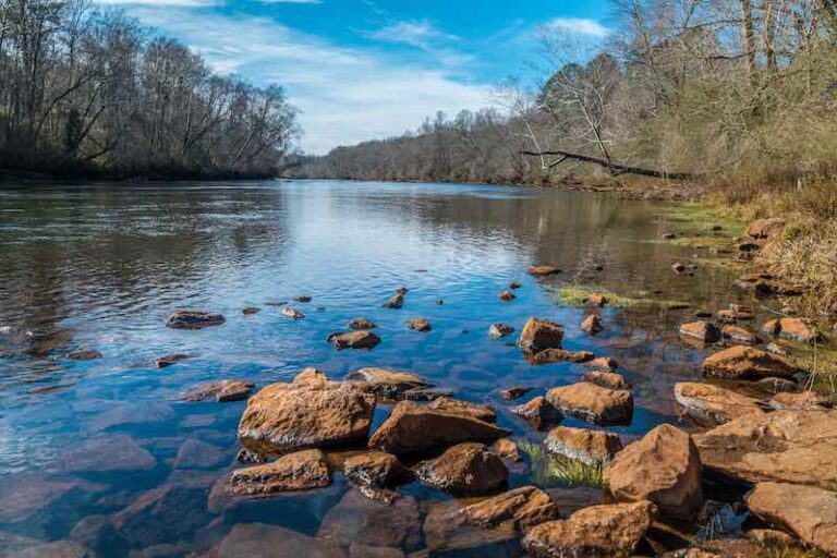 Best Hiking in Georgia: 13 Must-Visit Trails - Beyond The Tent