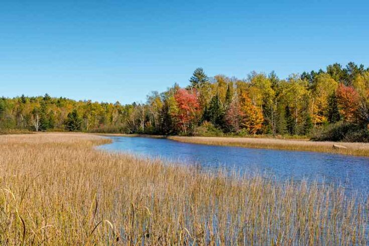 21 Places for The Best RV Camping in Wisconsin - Beyond The Tent