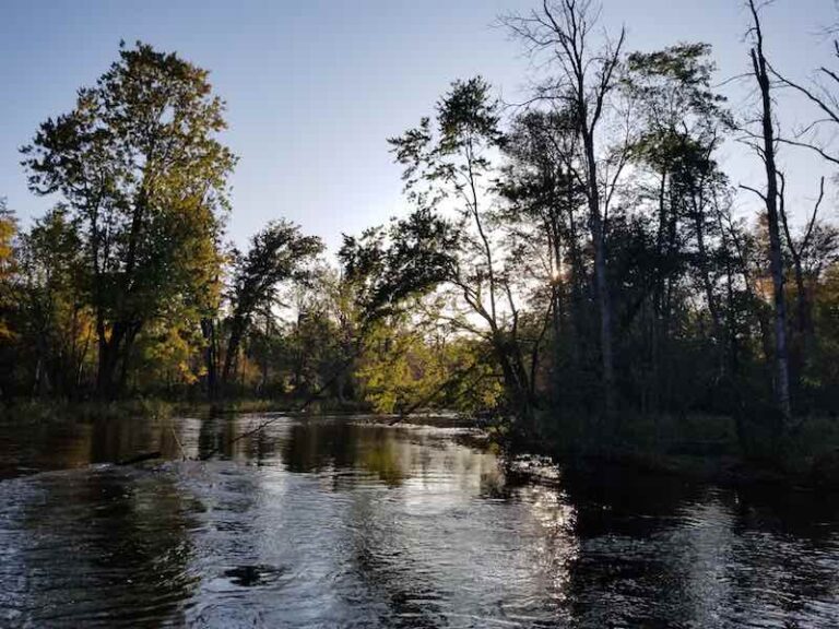 13 Amazing Destinations for Free Camping in Michigan - Beyond The Tent