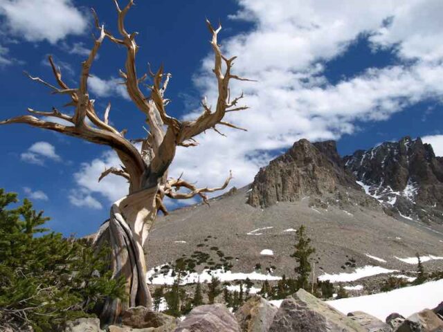 The Ultimate Guide to Great Basin National Park Camping - Beyond The Tent