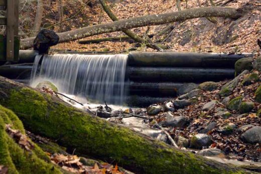 11 Most Beautiful Natural Springs in Michigan - Beyond The Tent