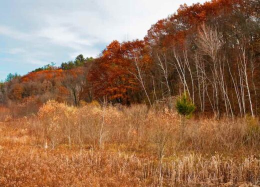 21 Awesome Locations for Boondocking in Wisconsin - Beyond The Tent