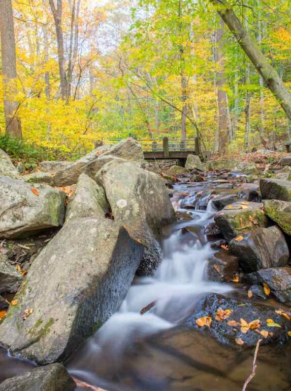 21 Best Trails for Hiking in New Jersey - Beyond The Tent