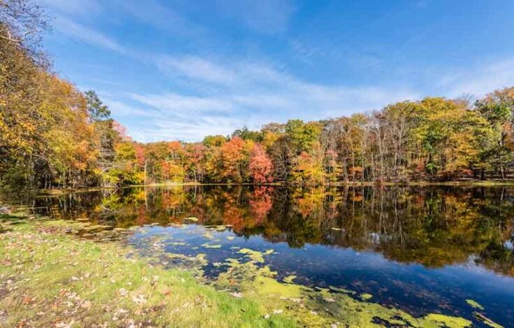 30 Best Places to Go Camping in Pennsylvania - Beyond The Tent