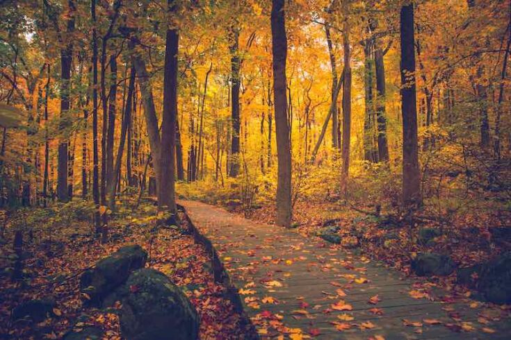 21 Best Trails for Hiking in New Jersey - Beyond The Tent