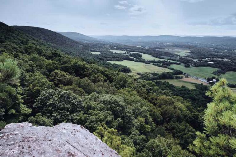 21 Best Trails for Hiking in New Jersey - Beyond The Tent