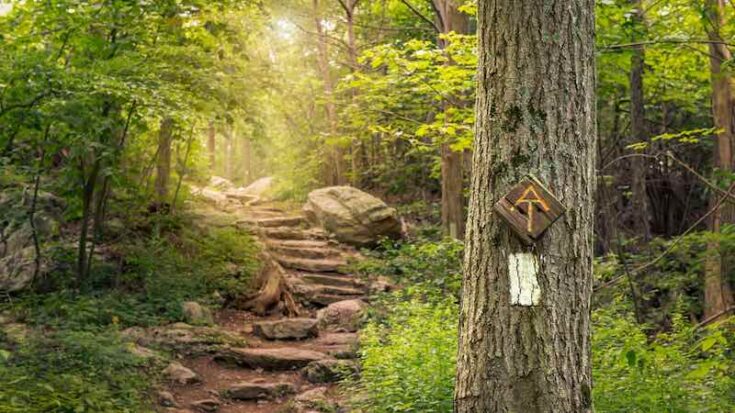 21 Best Trails for Hiking in New Jersey - Beyond The Tent