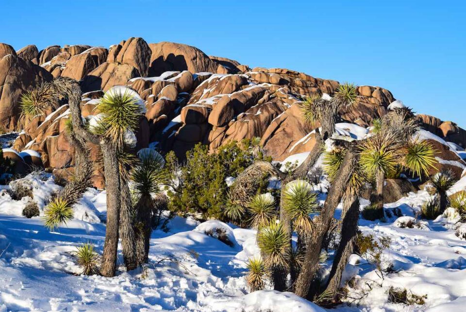 15 Amazing Places To Go Winter Camping In California - Beyond The Tent