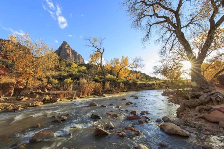 The Complete Zion National Park Camping Guide - Beyond The Tent