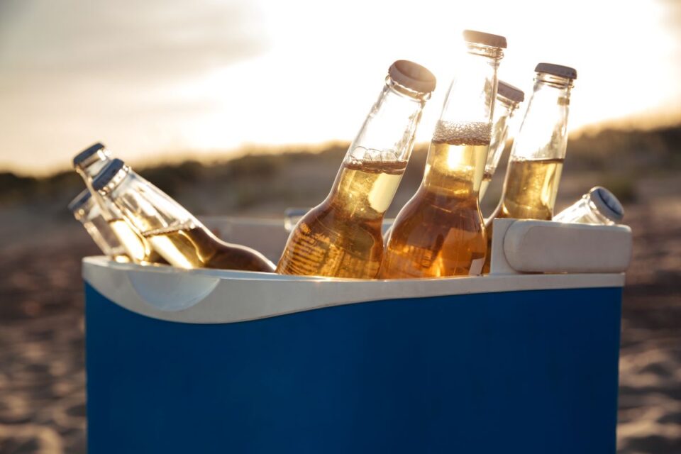 The 5 Best Small Coolers for 2024 - Beyond The Tent